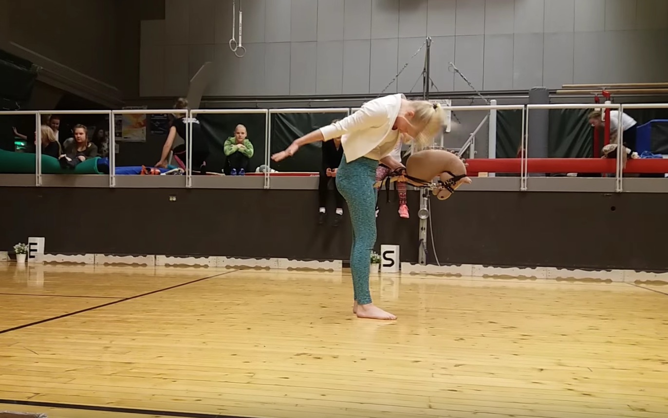 Welcome to the World of Competitive Hobbyhorse