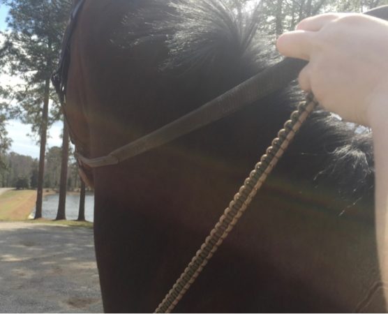 Beginner's Guide to Free Riding