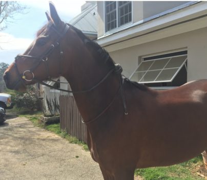 Beginner's Guide to Free Riding