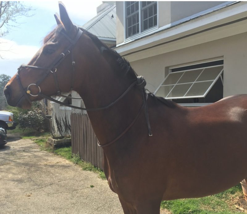 Beginner's Guide to Free Riding