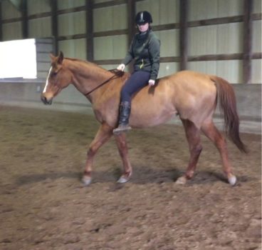 Beginner's Guide to Free Riding