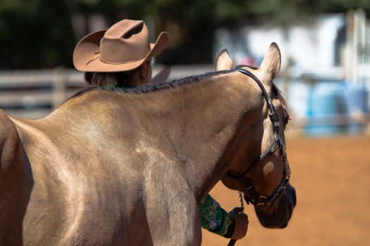 Eight Reasons Why Being an Adult Barn Rat Is the Best