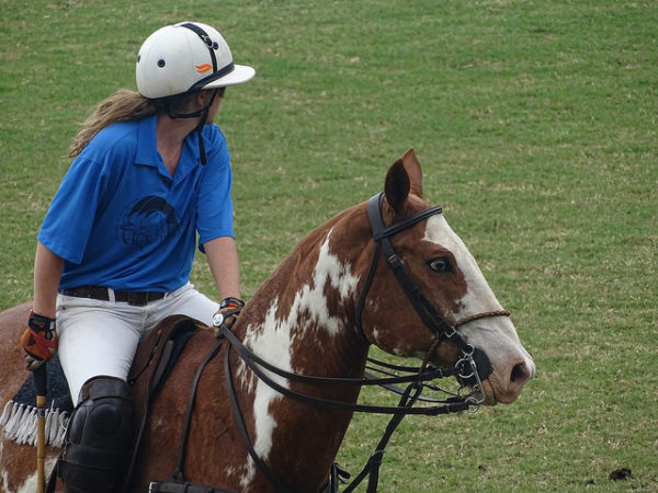 Eight Reasons Why Being an Adult Barn Rat Is the Best