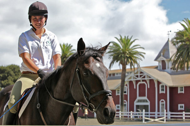 Eight Reasons Why Being an Adult Barn Rat Is the Best