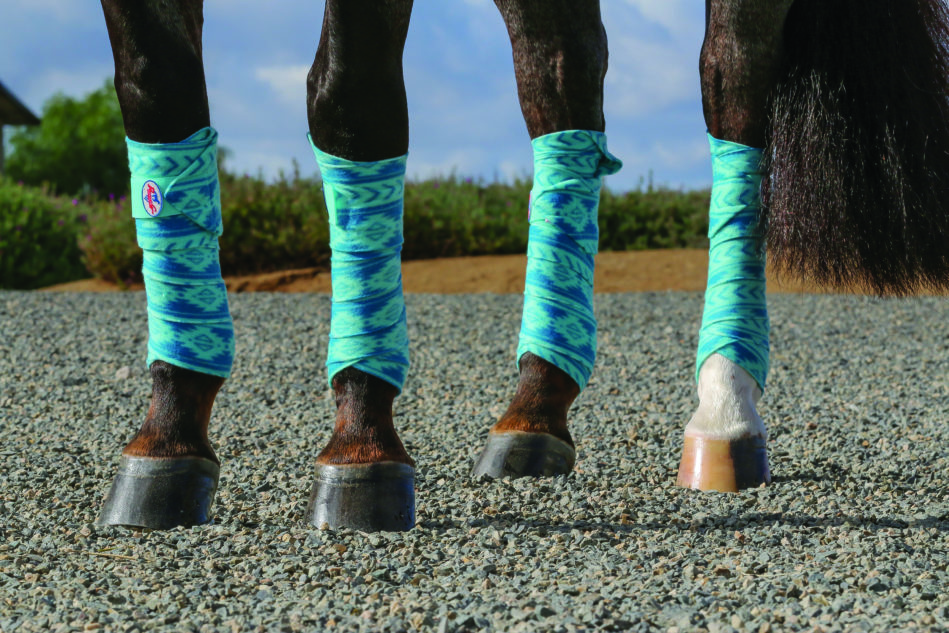 Eight Reasons Why Being an Adult Barn Rat Is the Best