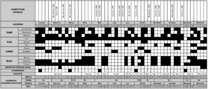 Designing a Training Program for Your Horse