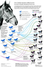 The King of Canada: Northern Dancer