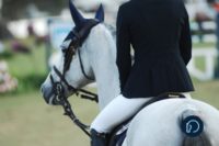 5 Common Mistakes that Could Be Holding You Back in the Show Ring (and ...