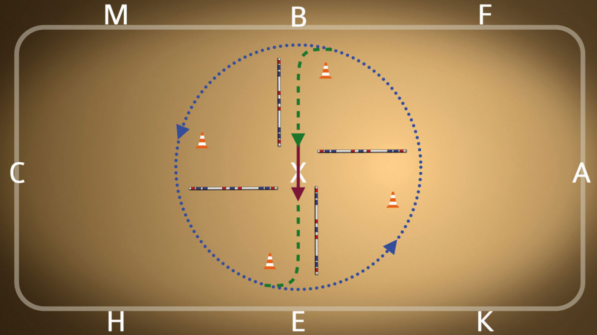 One Exercise, Eight Lessons, Any Discipline