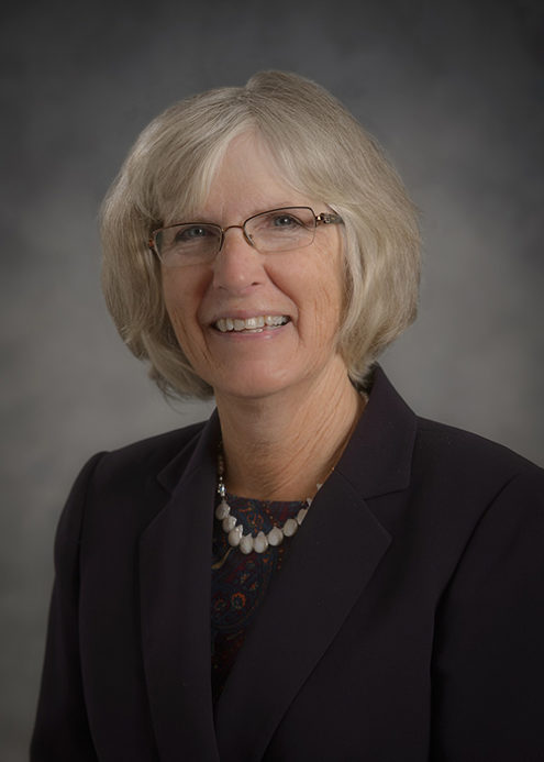 American Show Jumping Under Attack: Interview With USHJA President Mary ...
