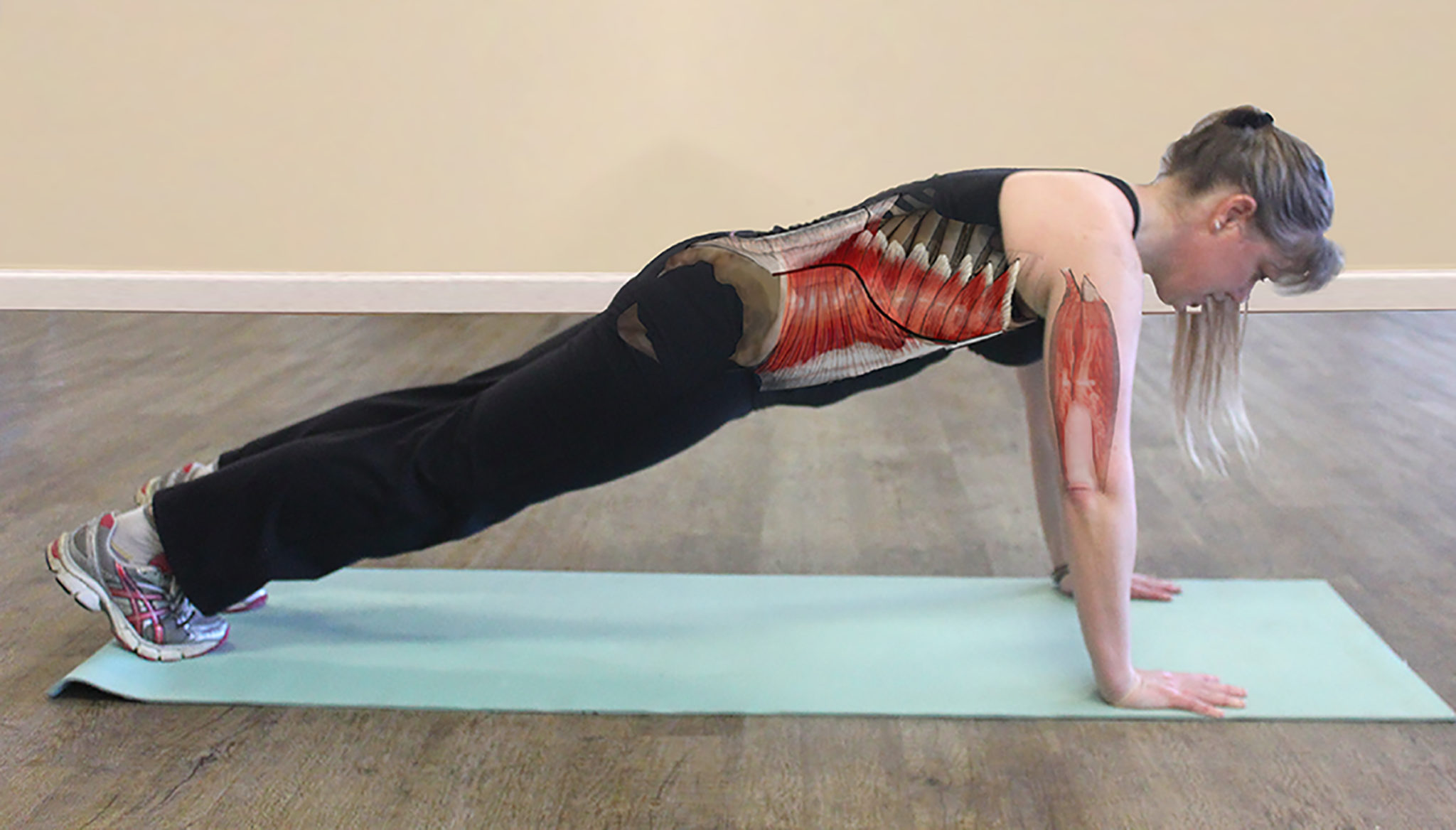 The Rider Plank: Instant Posture Improvement in the Saddle