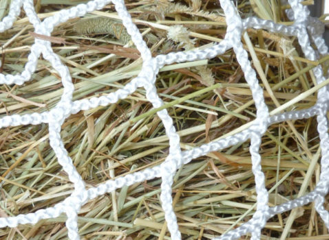 What Is Restricted Feeding?