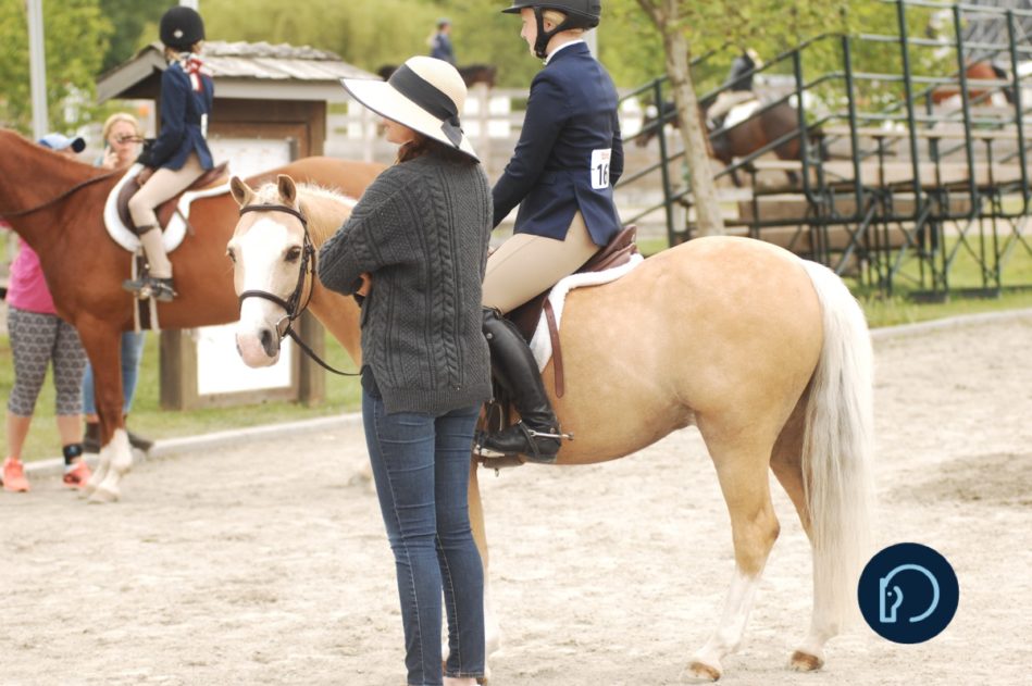 Boom in Pony Sales Tied to Annoying '6-7' TikTok Phenomenon