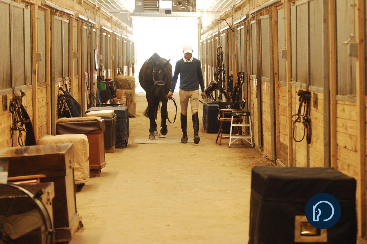 Brandon Saxton: "Everyone Is a VIP at the World Equestrian Center"