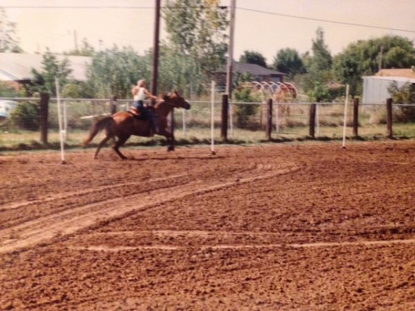 Lessons from Chestnut Horses