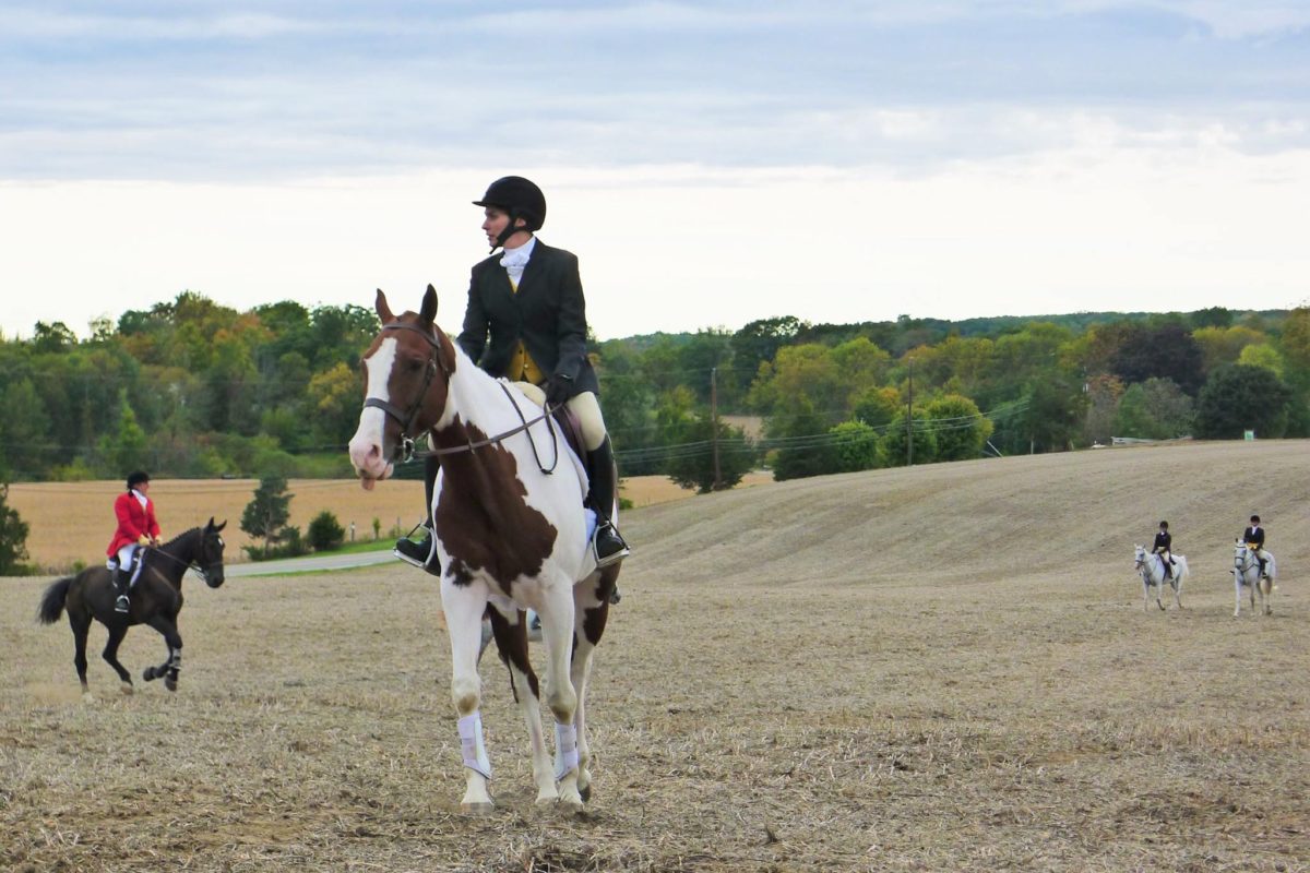 What Happens When an Adult Beginner Learns to Foxhunt?