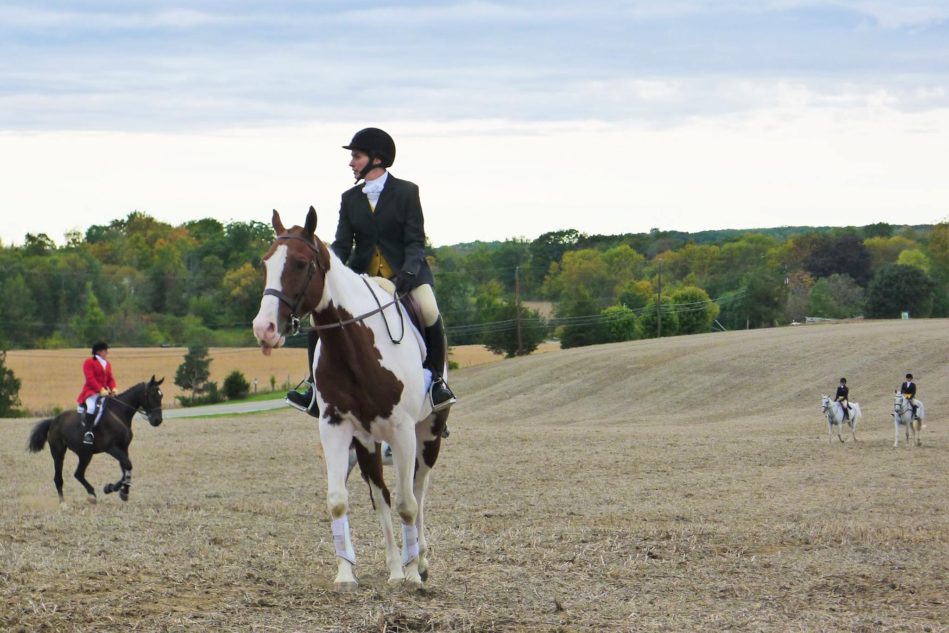 What Happens When an Adult Beginner Learns to Foxhunt?