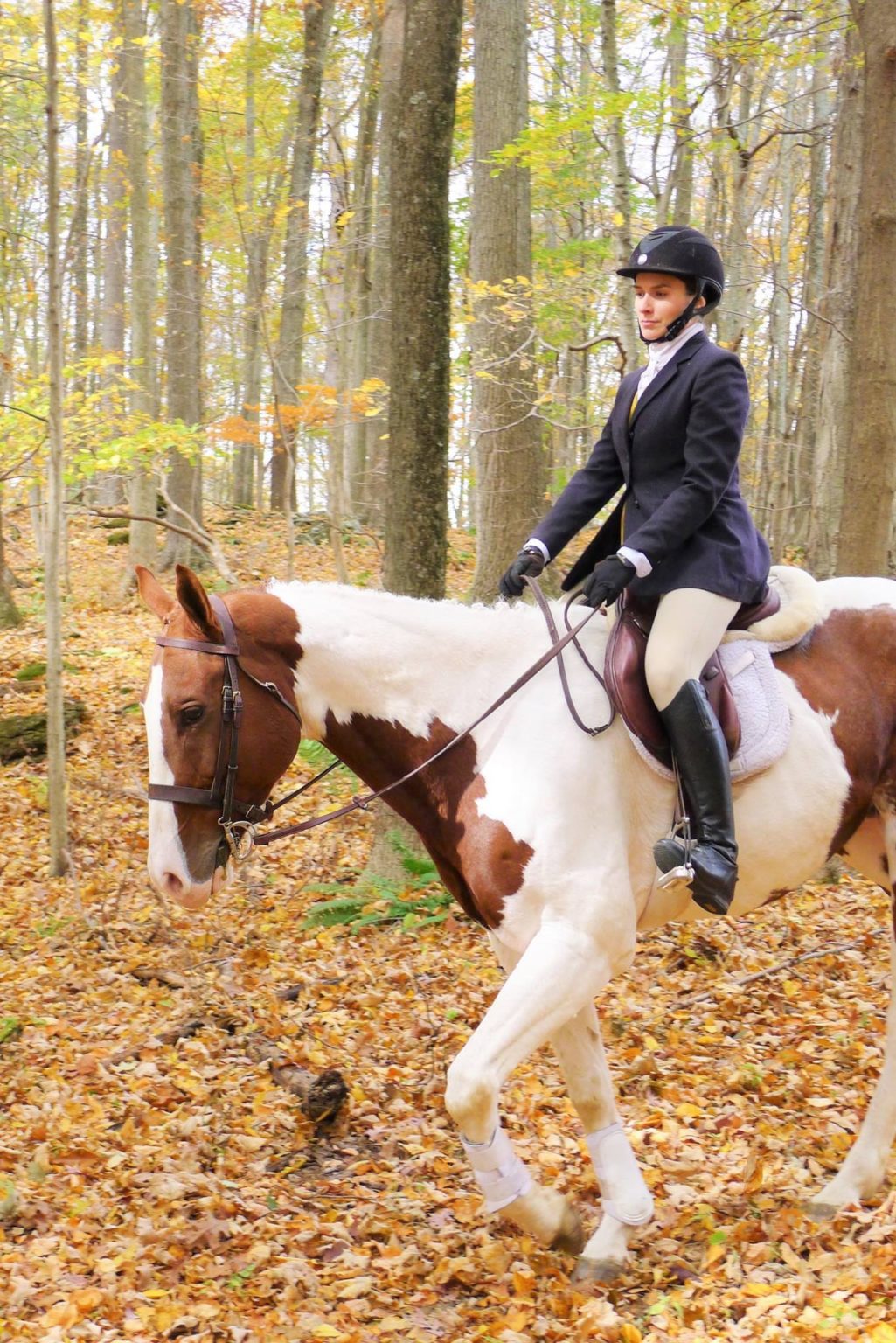 What Happens When an Adult Beginner Learns to Foxhunt?