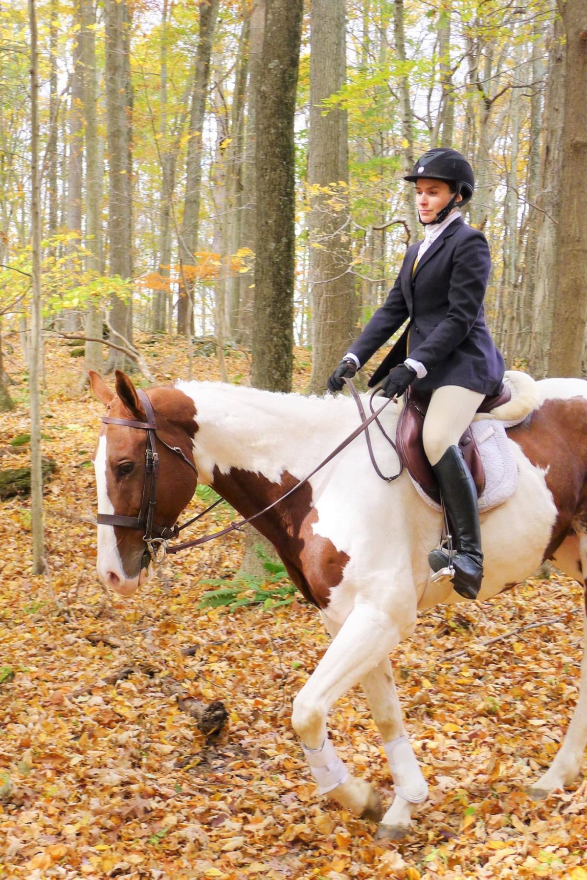 What Happens When an Adult Beginner Learns to Foxhunt?