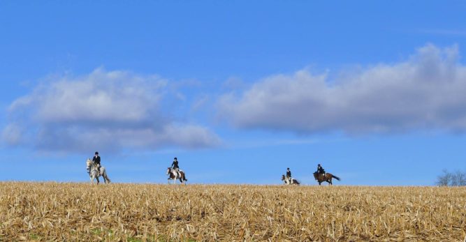 What Happens When an Adult Beginner Learns to Foxhunt?