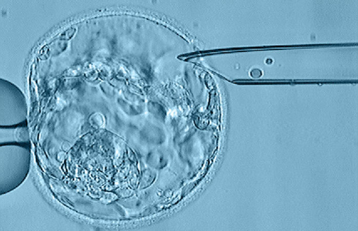 Cloning, Genetic Engineering and "Playing God"