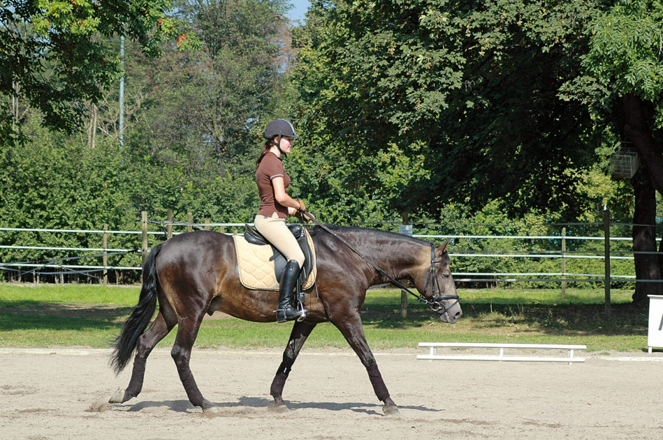 You're Probably Shortening Your Reins Wrong