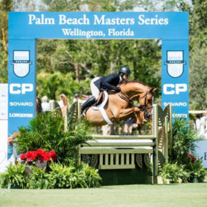 5 Things to Know About George Washington's Horse "Nelson"