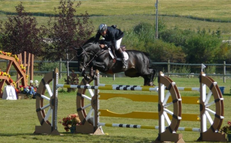 Master Canter Transitions and Controlled Turns with the 3s and 5s Exercise