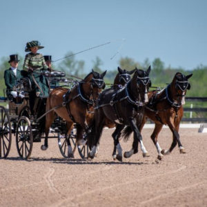 Maria Borell and Father Charged With 43 Counts of Animal Cruelty