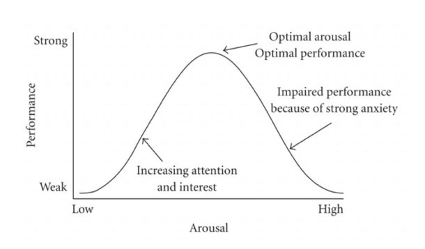 5 Common Mistakes that Could Be Holding You Back in the Show Ring (and ...