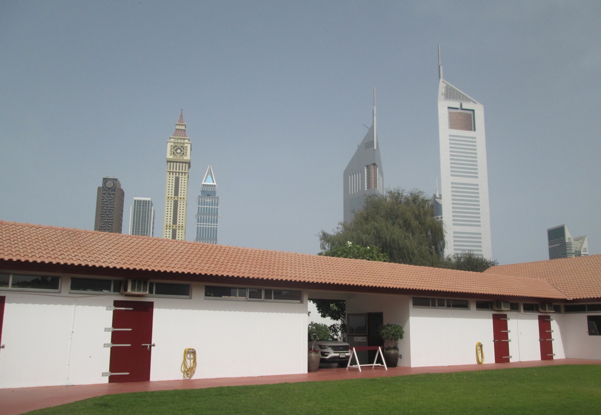 …And Poof! Reynaldothewizard Vanishes from the Racetrack *UPDATED*