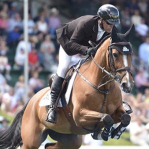 5 Things to Know About George Washington's Horse "Nelson"