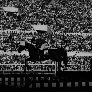 5 Things to Know About George Washington's Horse "Nelson"