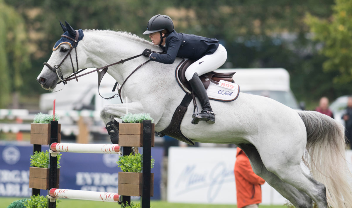 The Hack(amore) That Made Clockwise of Greenhill Z