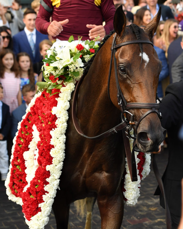 Catholic Boy Travers Win Scrambles HOY Race