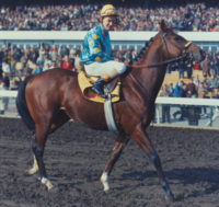The "Head" That Made The Modern Thoroughbred