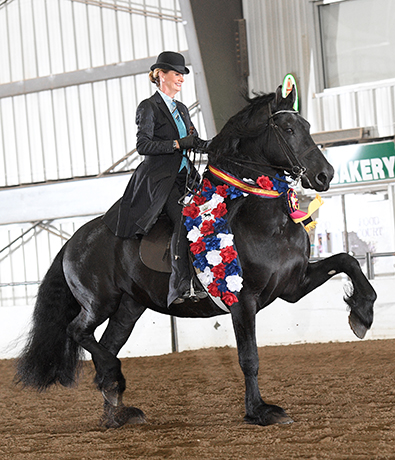 Your 2018 Equestrian of the Year Nominees Are...
