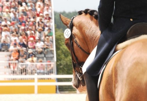 Stop Giving Away Your Confidence: John Haime’s New Book Helps Riders ...