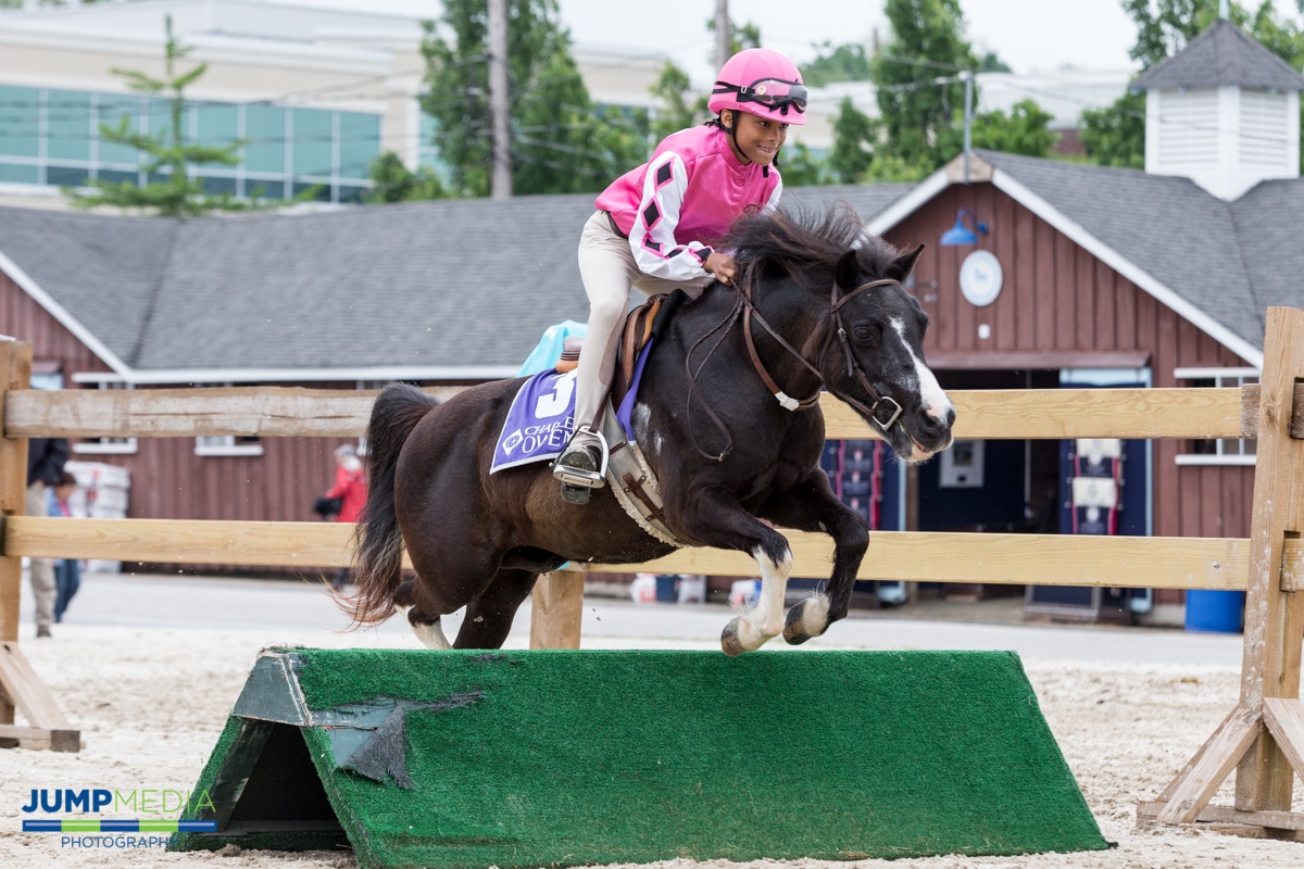 Shetland Ponies Are Equal Parts Fluff and Sass