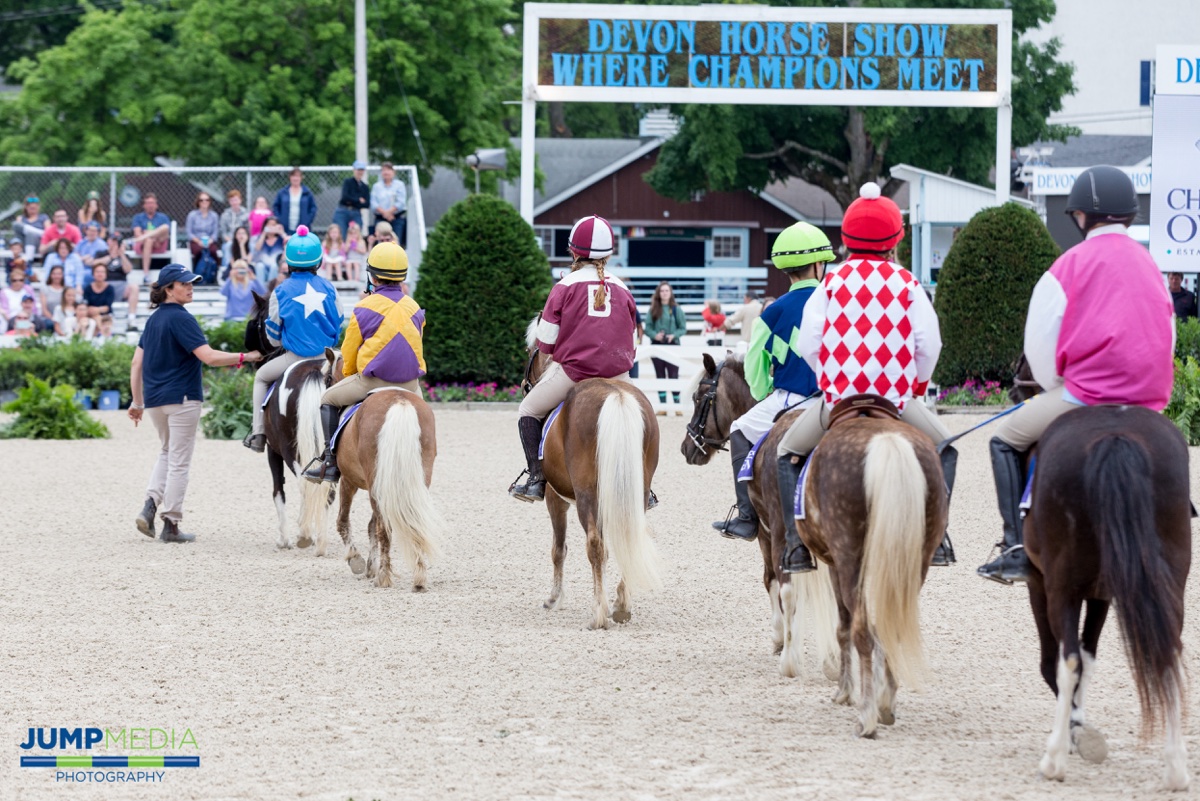 Shetland Ponies Are Equal Parts Fluff and Sass