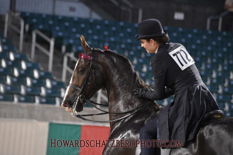 Juliette Dell: “It felt like a dream come true”