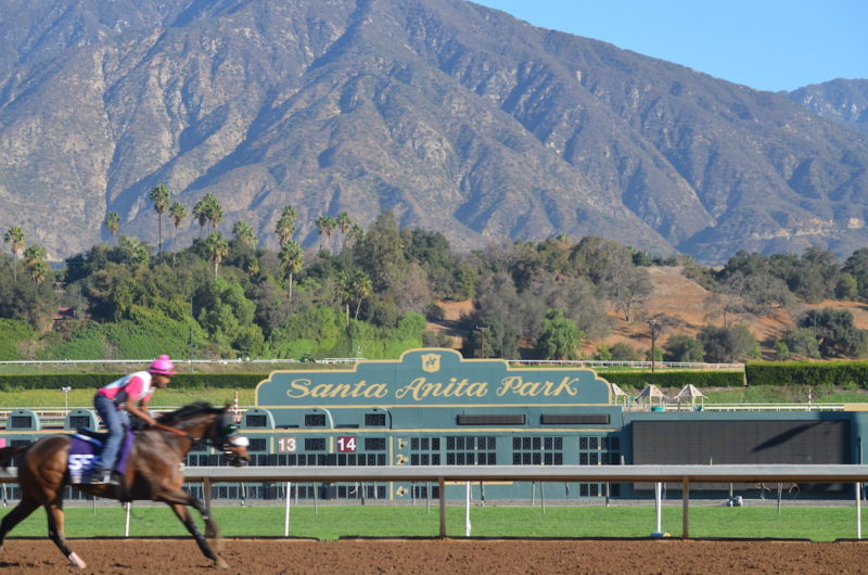 HISA: The Greatest Regulatory Change in Thoroughbred Racing History