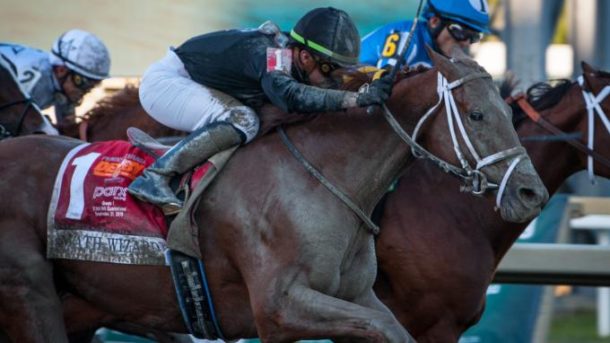 Math Wizard Hopes the Odds Are Ever in His Favor