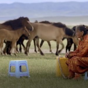 Under the Saddle with Adam Cromarty and Special Guest Daniel Coyle