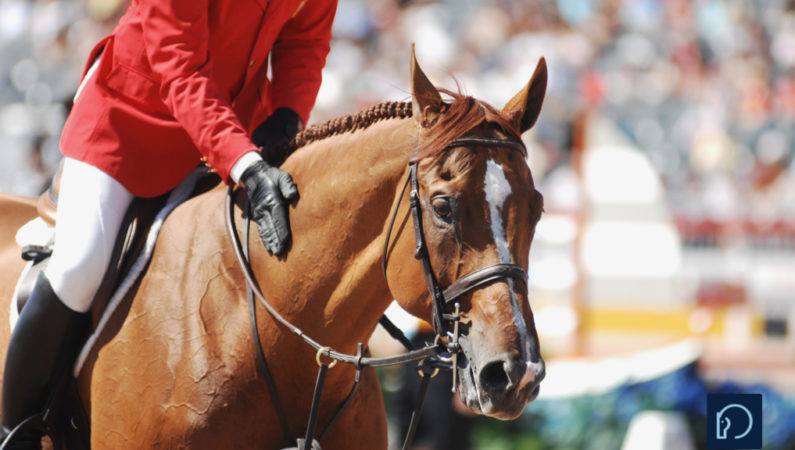 This Is What Happens When You Send a Race Reporter to Interview a Show ...