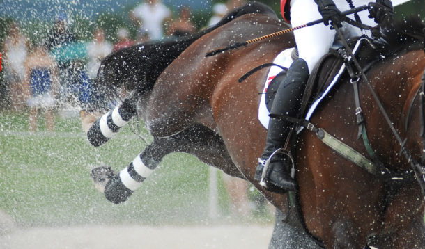 Jon Holling on the Obstacles to Eventing Rider Safety and More