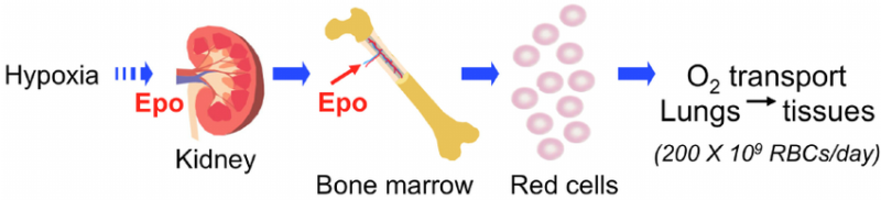 Racing Arrives at a Reckoning Moment