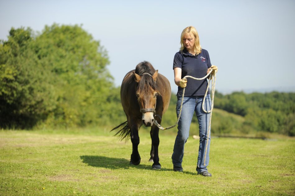 Problem Solving: Dealing with Horses that Pull on the Lead