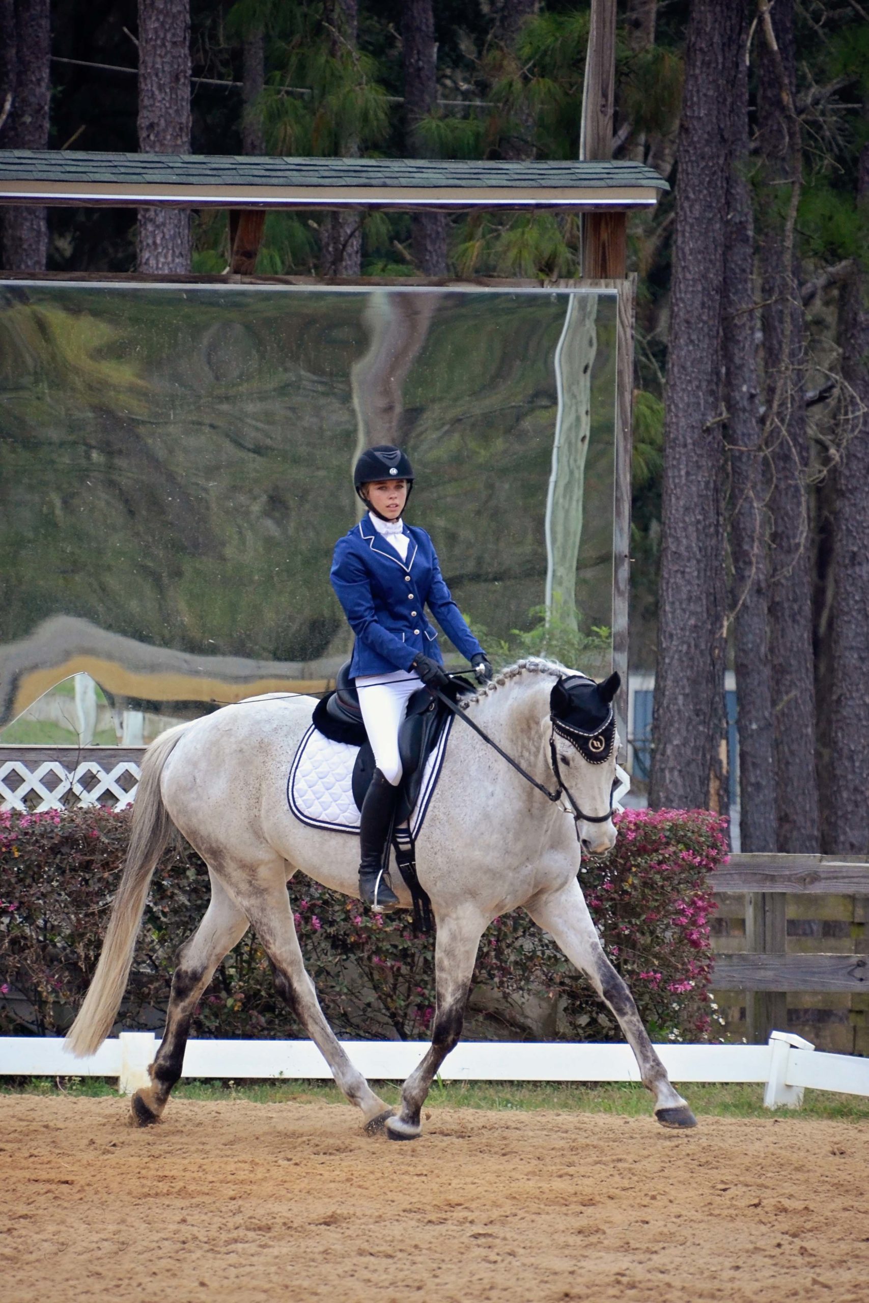 5 Ways to Adjust Your Dressage Freestyle on the Fly