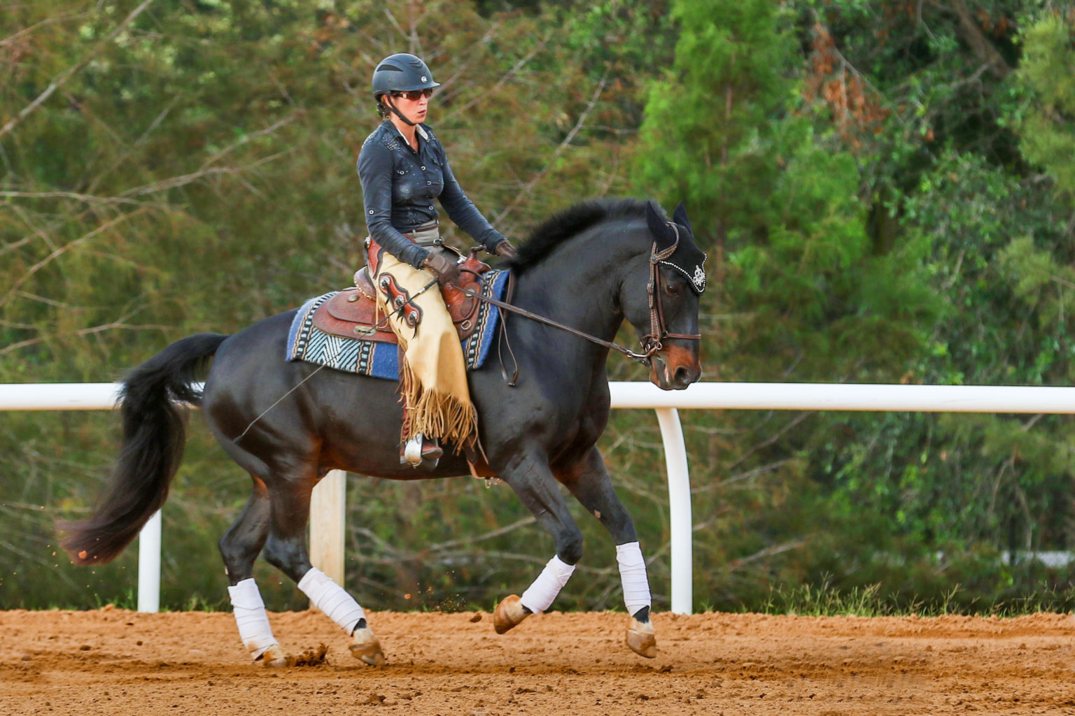 5 Ways to Adjust Your Dressage Freestyle on the Fly